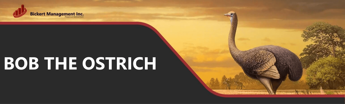 Bob the Ostrich | Bickert Management Inc.
